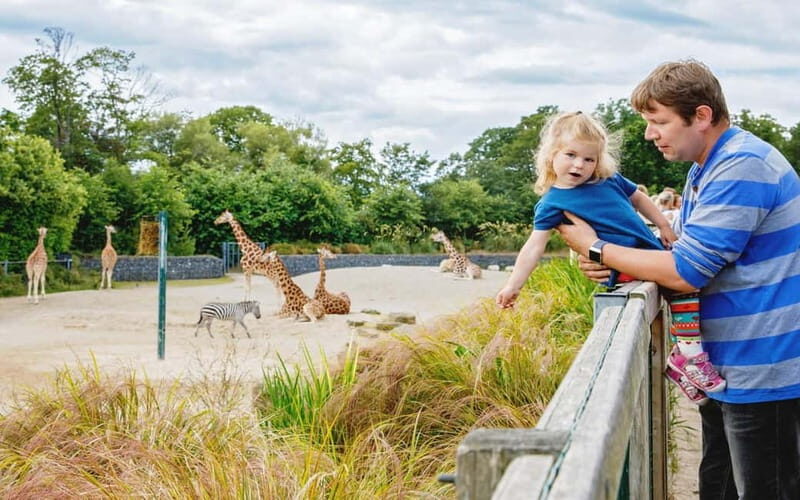 Dublin Zoo: Skip-the-Line Tickets with Private Transfers - Travel Logistics & Comfort