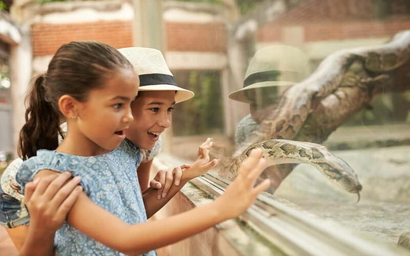 Dublin Zoo: Skip-the-Line Tickets with Private Transfers - Authenticity & Fun