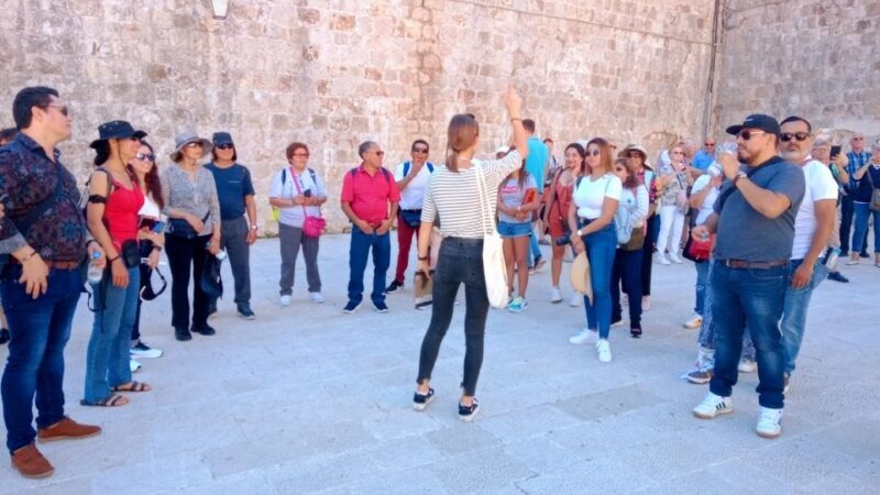 Dubrovnik: 1.5-Hour Guided Old Town Walking Tour - Key Points