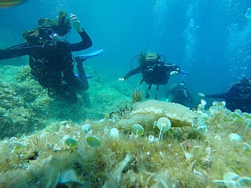 Dubrovnik: 1-Day Discover Scuba Diving Course - An Honest Look at the Dubrovnik Discover Scuba Course