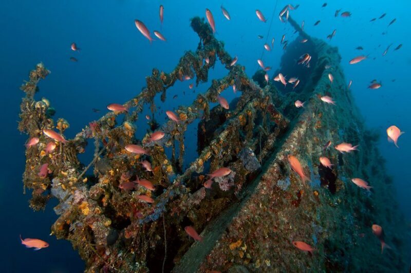 Dubrovnik: 1-Day Diving Package - Key Points