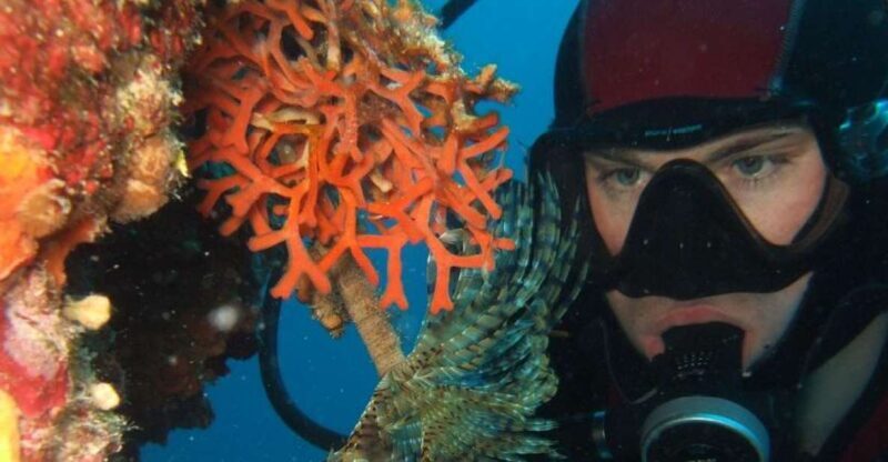Dubrovnik: 1-Day Diving Package - Why This Tour Might Be a Hit for You
