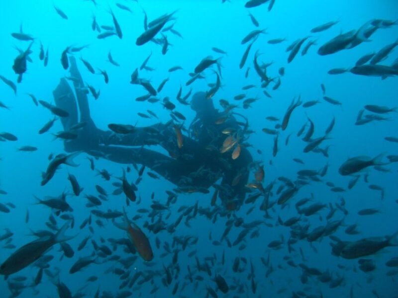 Dubrovnik: 1-Day Diving Package - Authentic Marine Encounters and Expert Guidance
