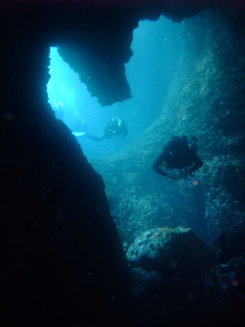 Dubrovnik: 1-Day Diving Package - Analyzing the Tour’s Value