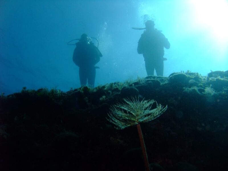 Dubrovnik: 1-Day Diving Package - Who Should Consider This Experience?