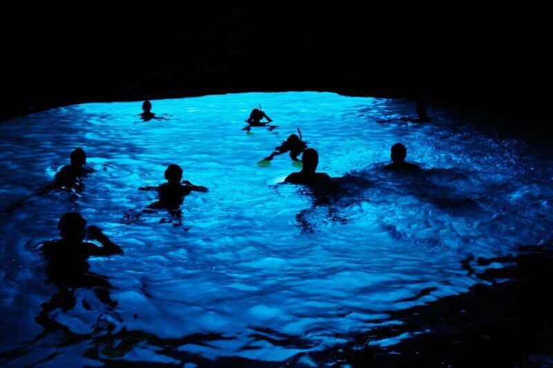 Dubrovnik: Blue Cave and Green Caves Boat Tour from Old City - Who Will Love This Tour?