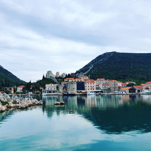 Dubrovnik: Day Trip to 3 Peljesac Wineries with Tastings - The Sum Up: Who Is This Tour Best For?