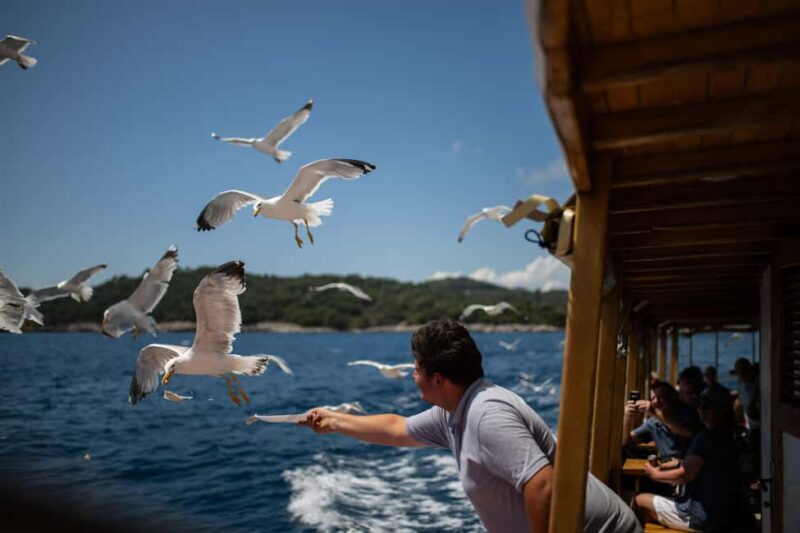 Dubrovnik: Elaphite Islands Cruise with Lunch & Drinks - The Practical Side: What Travelers Need to Know