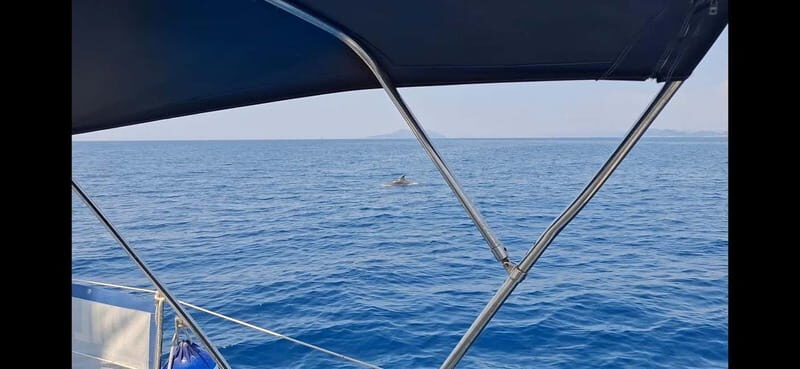 Dubrovnik :Full day private tour to Elafity island&Blue cave - Who Should Consider This Tour?