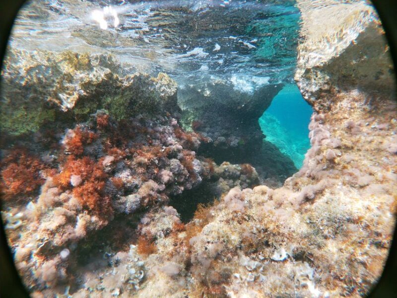 Dubrovnik: Half-Day Private Boat Trip to Elafiti Islands - Scenic Journey Through the Elafiti
