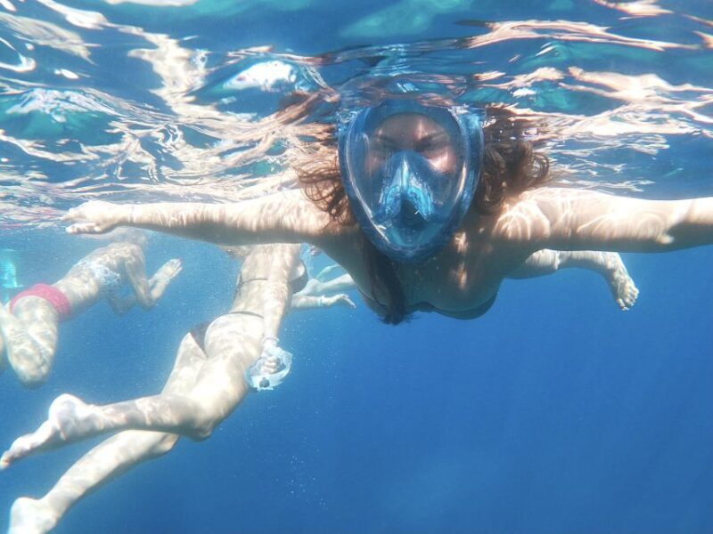 Dubrovnik: Half-Day Private Boat Trip to Elafiti Islands - Who Will Love This Tour?