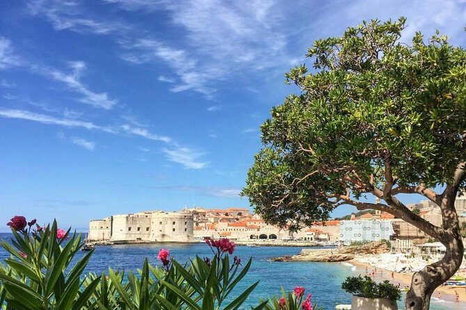 Dubrovnik Kayaking and Cycling Break - Real Traveler Insights and Highlights