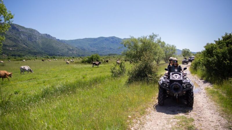 Dubrovnik: Kojan Koral ATV Quad Safari - Authenticity and Value