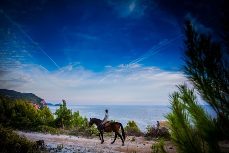 Dubrovnik Kojan Koral: Horseback Riding - A Deep Dive into the Horseback Riding Experience