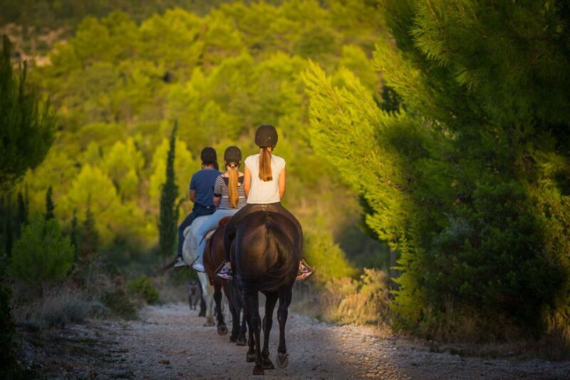 Dubrovnik Kojan Koral: Horseback Riding - Who Should Consider This Tour?
