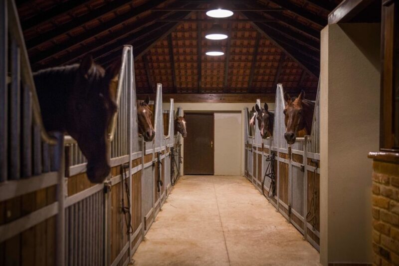 Dubrovnik Kojan Koral: Horseback Riding - Frequently Asked Questions