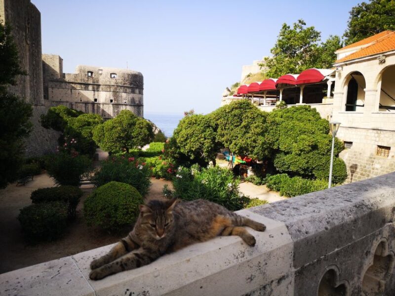 Dubrovnik Old City Private Tour - Who Will Appreciate This Tour?