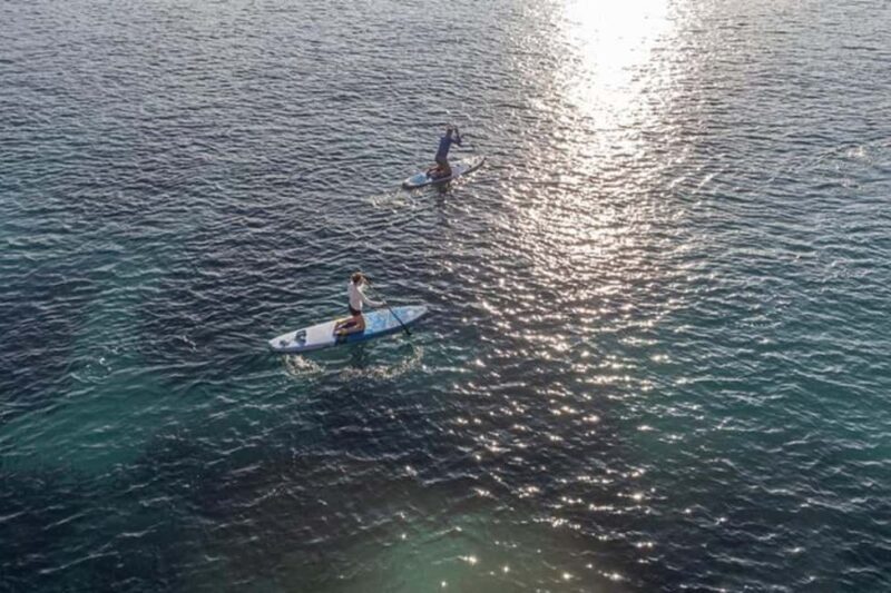 Dubrovnik: Paddleboarding & Snorkeling around Lokrum island - What Makes This Tour Stand Out?