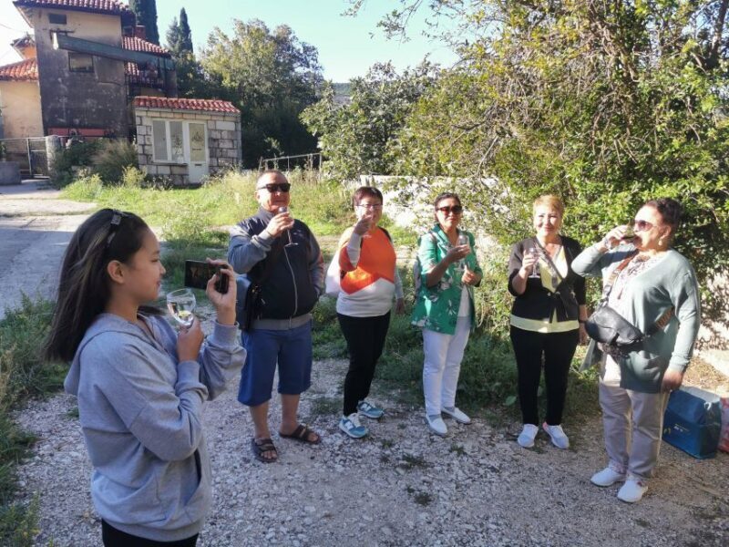 Dubrovnik: Panorama Tour with Free Time in the Old Town - Practical Considerations