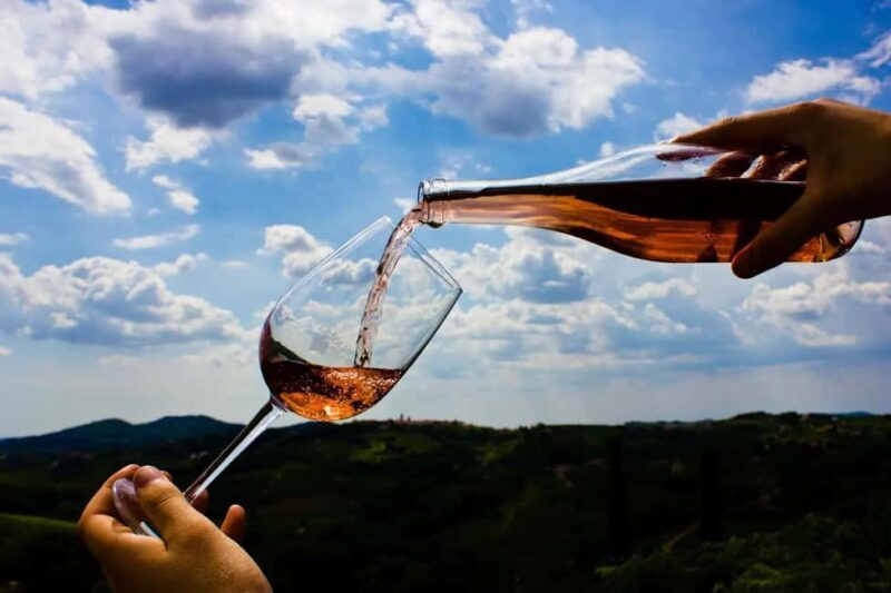 Dubrovnik Private Panorama & Wine Tasting Tour - Key Points