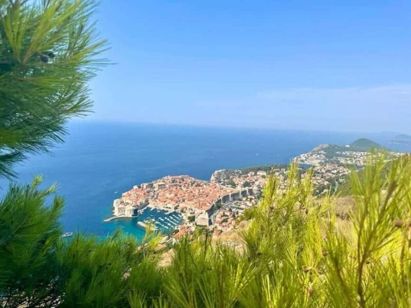 Dubrovnik Private Panorama & Wine Tasting Tour - Introduction: A Scenic Taste of Dubrovnik