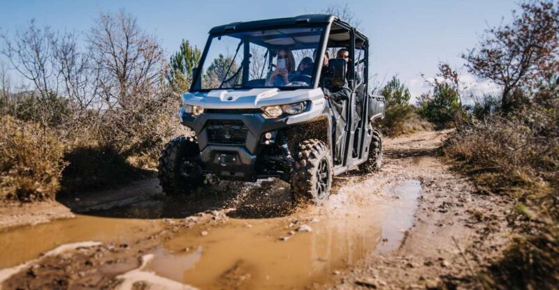 Dubrovnik: Private Panoramic Half-Day Buggy Tour with Brunch - Who Will Love This Tour?