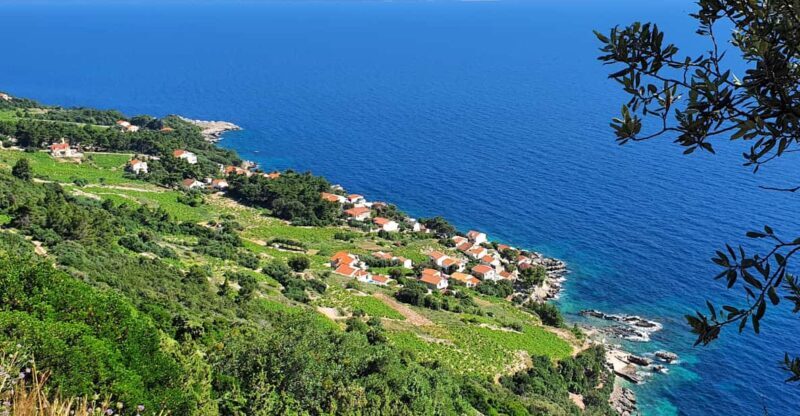 Dubrovnik Private Wine Tasting Tour To Peljesac - Key Points