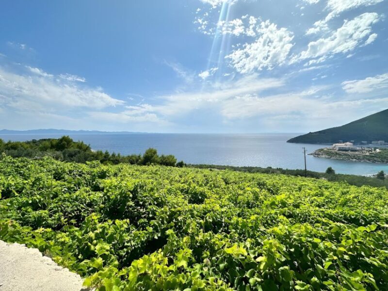 Dubrovnik: Private Wine Tour to Peljeac Peninsula - Key Points