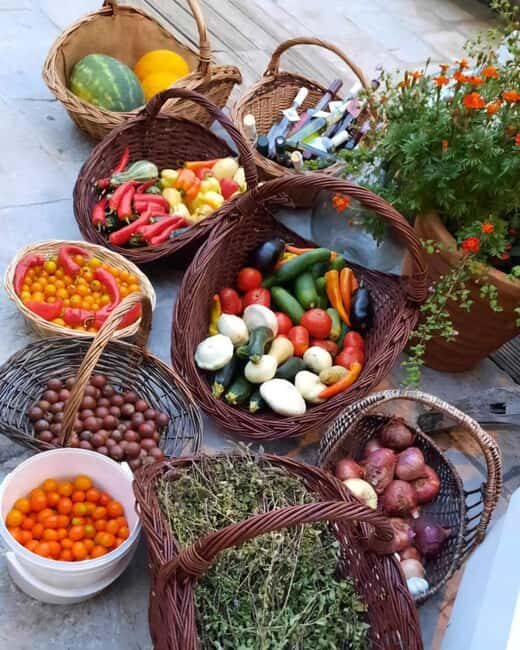 Dubrovnik Scenic Tour & Lunch/Dinner at Country Estate - Frequently Asked Questions
