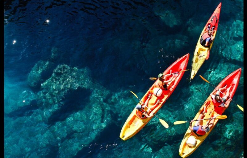 Dubrovnik: Sea Kayaking Tour - Introduction
