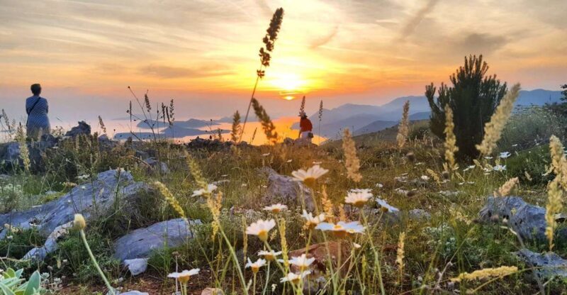 Dubrovnik: Sunset Panorama Tour with Glass of Wine - Price and Value
