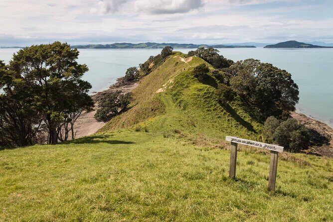 Duder Regional Park Half-Day Walking Tour - An Overview of What You’ll Experience