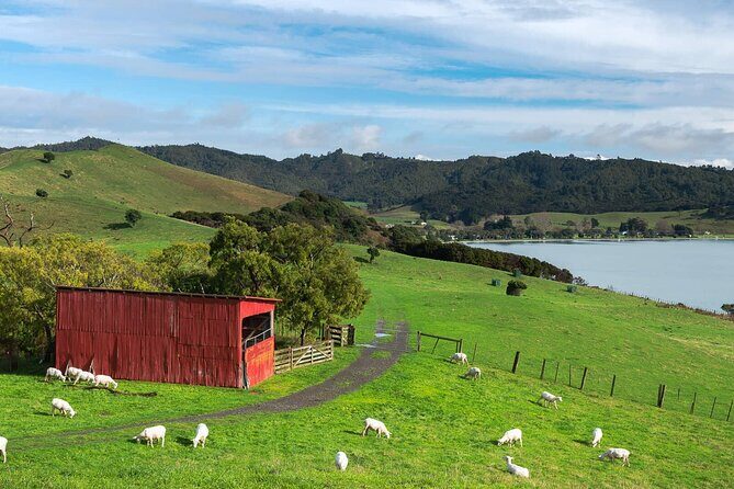 Duder Regional Park Half-Day Walking Tour - The Coastal Clifftop Trail - Expect Breathtaking Views