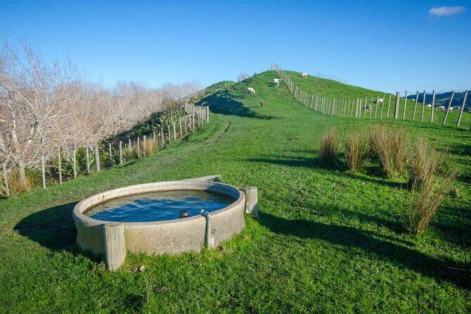 Duder Regional Park Half-Day Walking Tour - The Best Time to Experience Duder