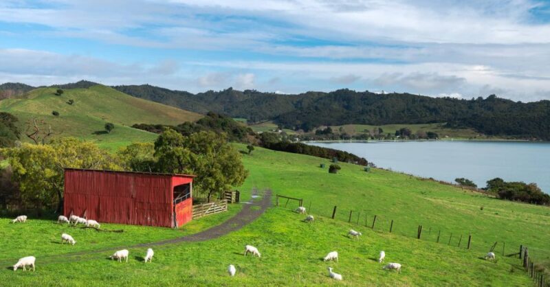 Duder Regional Park Walking Tours - What to Expect During Your Tour