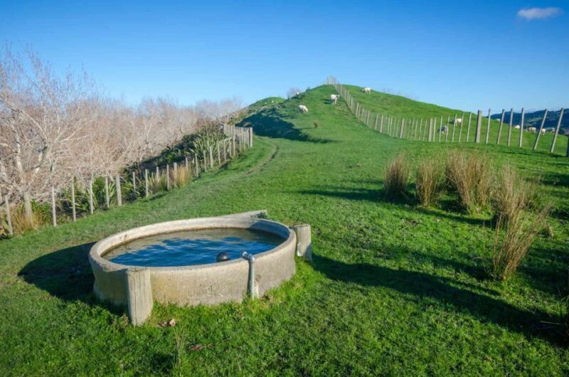 Duder Regional Park Walking Tours - The Value Proposition