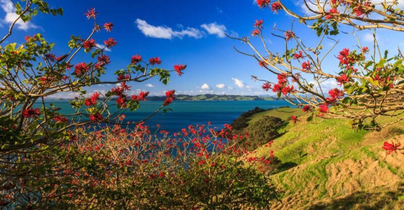 Duder Regional Park Walking Tours - Who Is This Tour Best For?