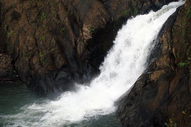 Dudhsagar waterfall wildlife & spice plantation Tour in Goa - Starting the Day: Pickup and Transportation