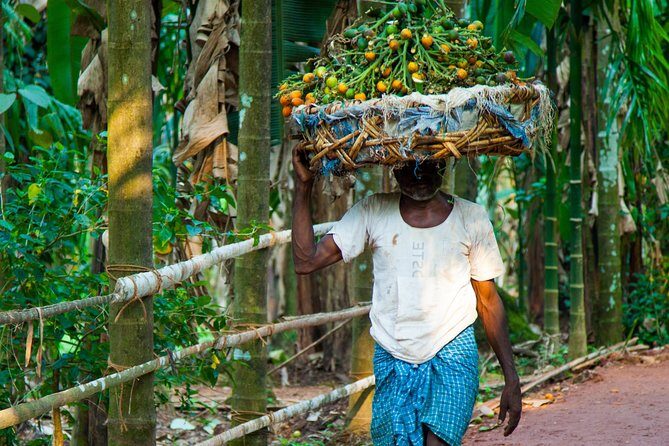 Dudhsagar waterfall wildlife & spice plantation Tour in Goa - Lunch: Local Flavors on a Banana Leaf