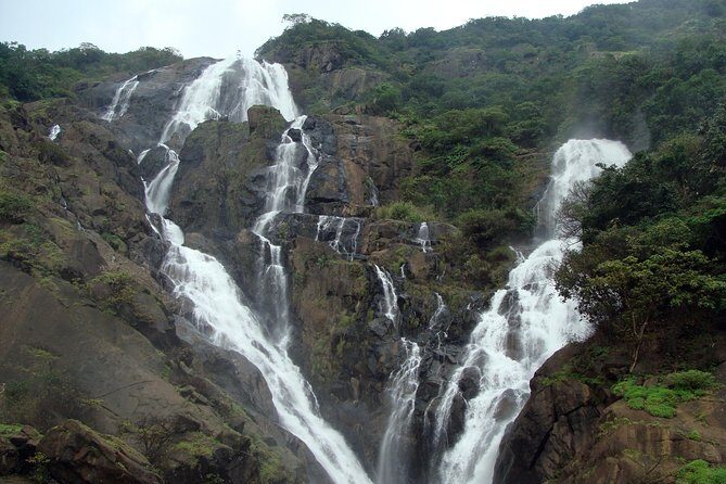Dudhsagar waterfall wildlife & spice plantation Tour in Goa - Authenticity and Value