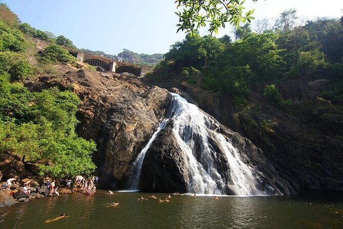 Dudhsagar Waterfalls, Jeep Safari & Spice Plantation private tour - What the Reviews Say