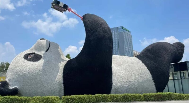 Dujiangyan Half Day Tour and Blue Tears Night View - Frequently Asked Questions (FAQs)