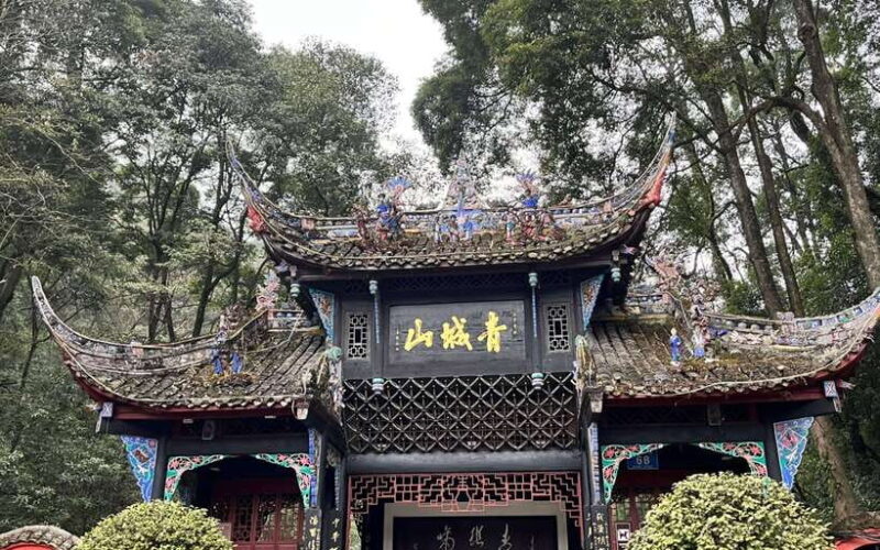 Dujiangyan Irrigation System & Mount Qingcheng Private Tour - A Closer Look: What to Expect from This Tour