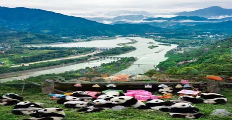 Dujiangyan panda base and irrigation system park day tour - What Travelers Are Saying