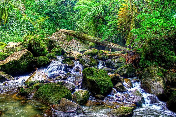 Dumaguete Casaroro Falls & Balinsasayaw Twin Lakes Tour - A Closer Look at the Experience