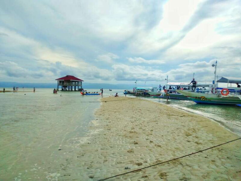Dumaguete: Dolphin Watching & Manjuyod Sandbar Private Tour - Frequently Asked Questions