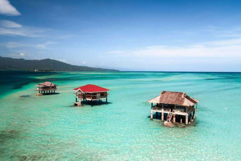 Dumaguete Manjuyod sand bar & Dolphin Watching - Key Points