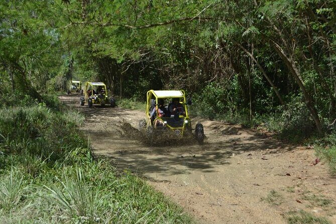 Dune Buggies Adventure - Practical Tips for Your Trip
