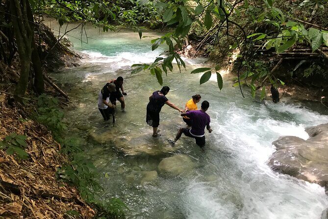 Dune Buggies Experience and Mayfield falls - Who Will Love This Tour?