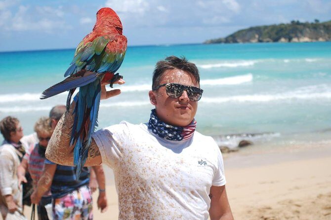 Dune Buggy Adventure by Caribbean Tour Service - FAQ Section